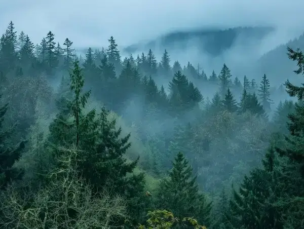 Lorien